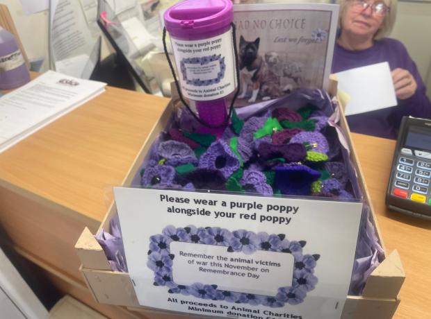 ‘Purple Poppy Campaign’ Wear yours with your Red Poppy to remember ...