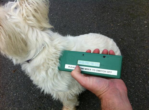 The GSPCA win a Avid Microchip Scanner in time for our Free Chipping ...